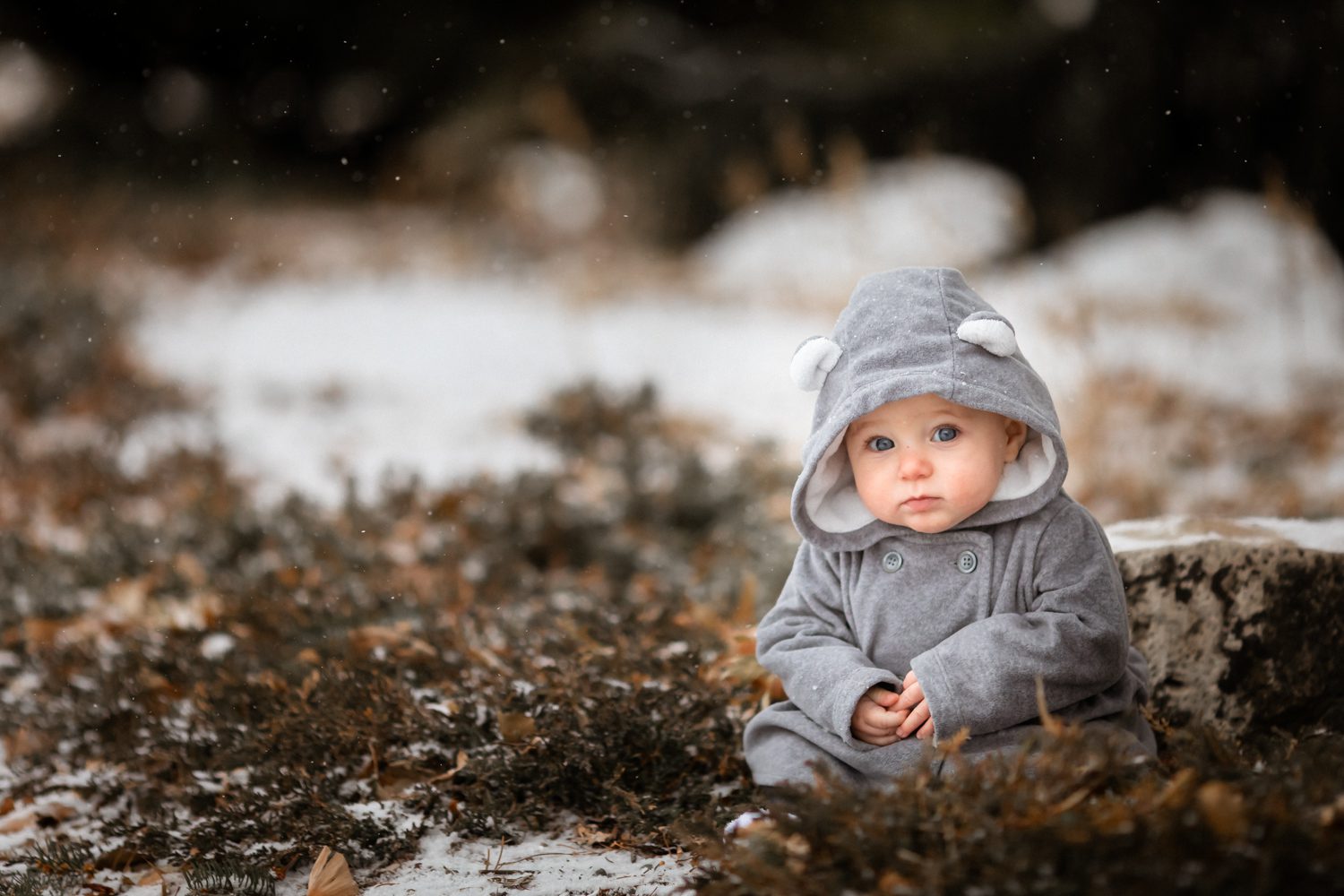 Mini sessions for winter people - Portrait Photographer Minneapolis ...